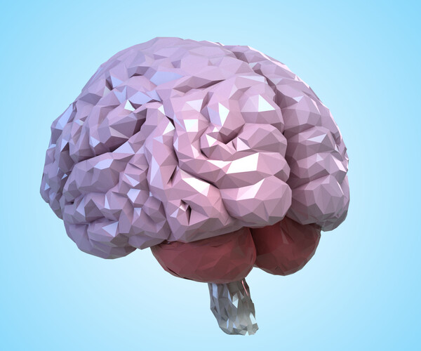 ArtStation - Brain Low-poly | Resources