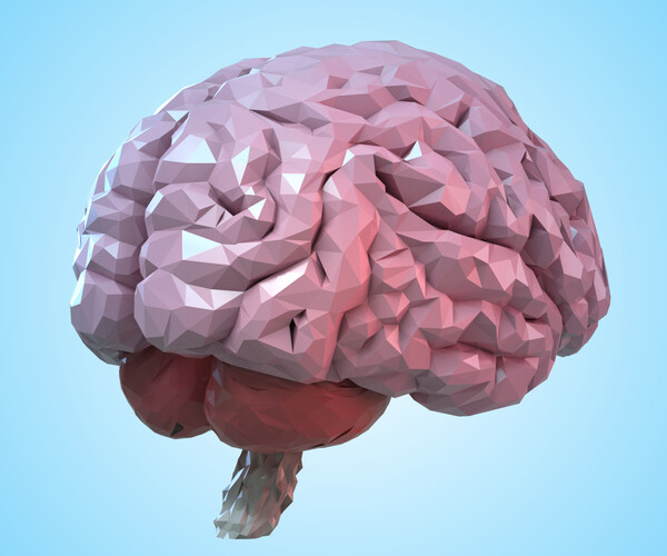 ArtStation - Brain Low-poly | Resources