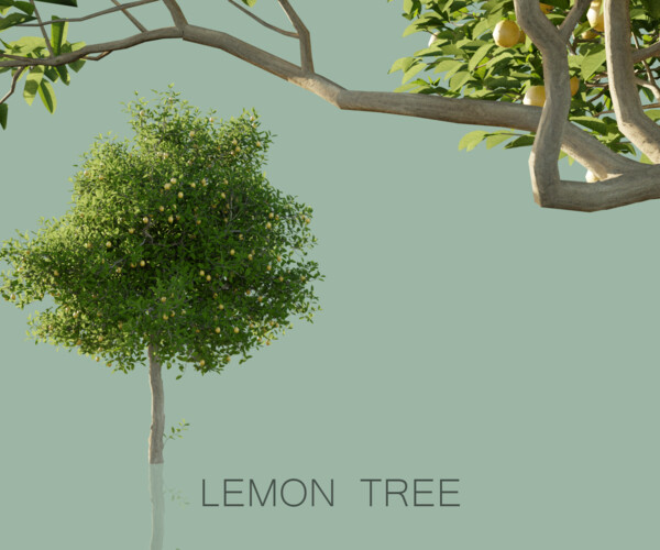 ArtStation - Lemon Trees | Game Assets