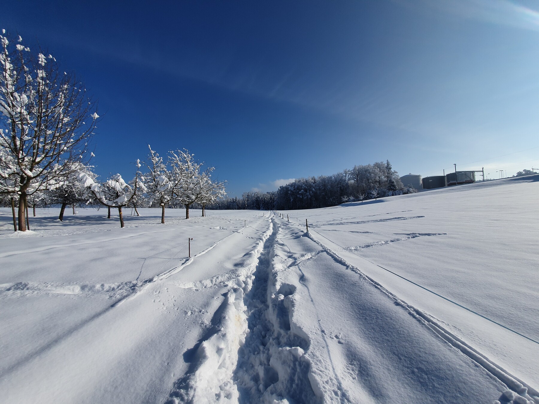 ArtStation - Swiss Winter Deep Snow Forest 600+ Reference Photos in 4k ...