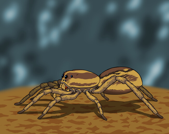 ArtStation - Wolf Spider | Game Assets