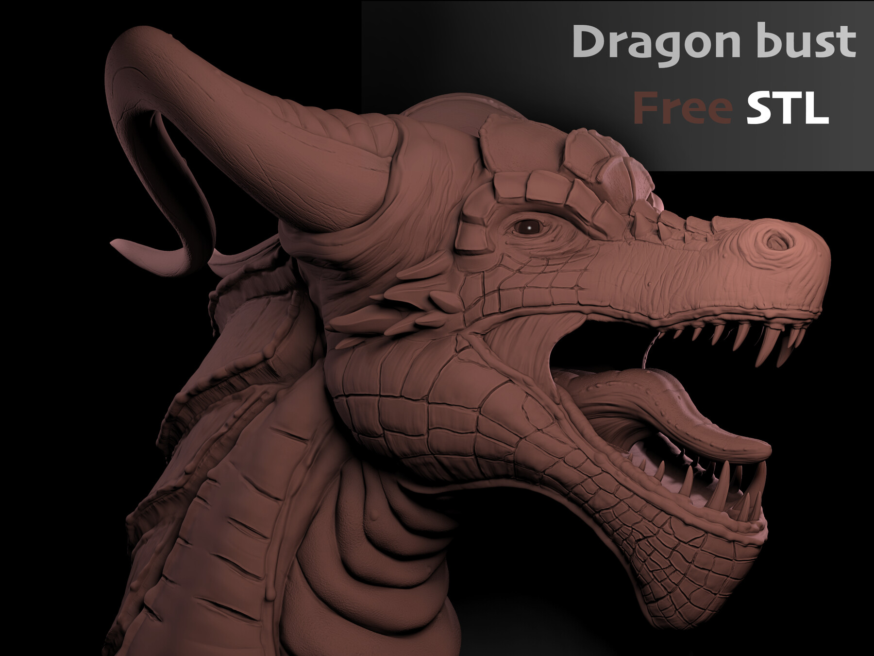 ArtStation - Dragon bust FREE STL | Game Assets