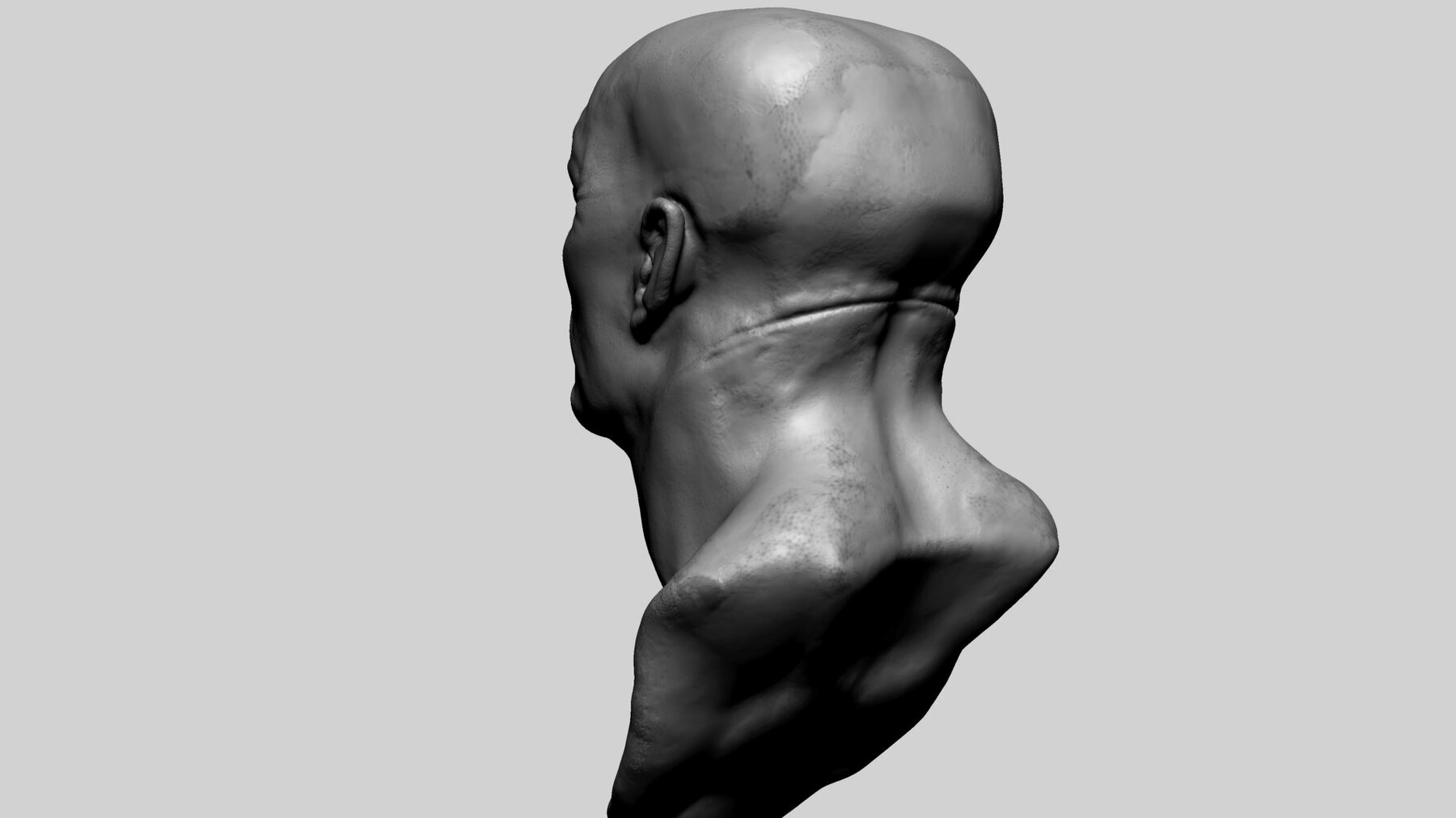 ArtStation - Fantasy Creature Head 06 | Resources