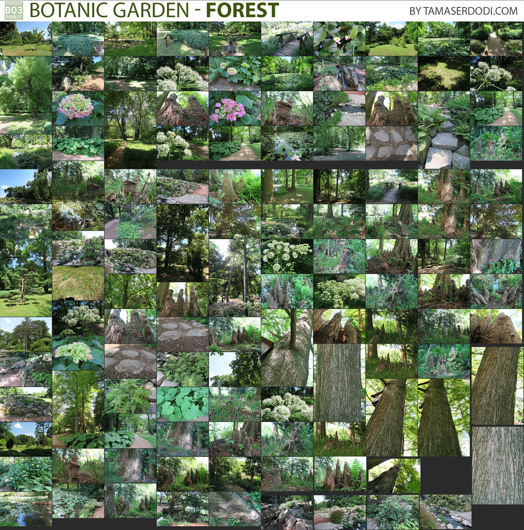 ArtStation - B03 Botanic Garden Forest Stones flowers | Resources