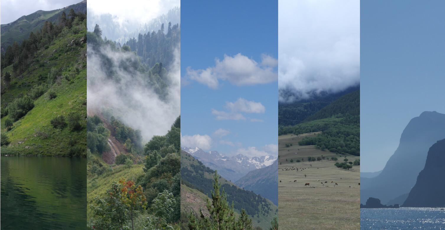 ArtStation - Calm Landscapes 184+ Photo Reference Pictures | Resources