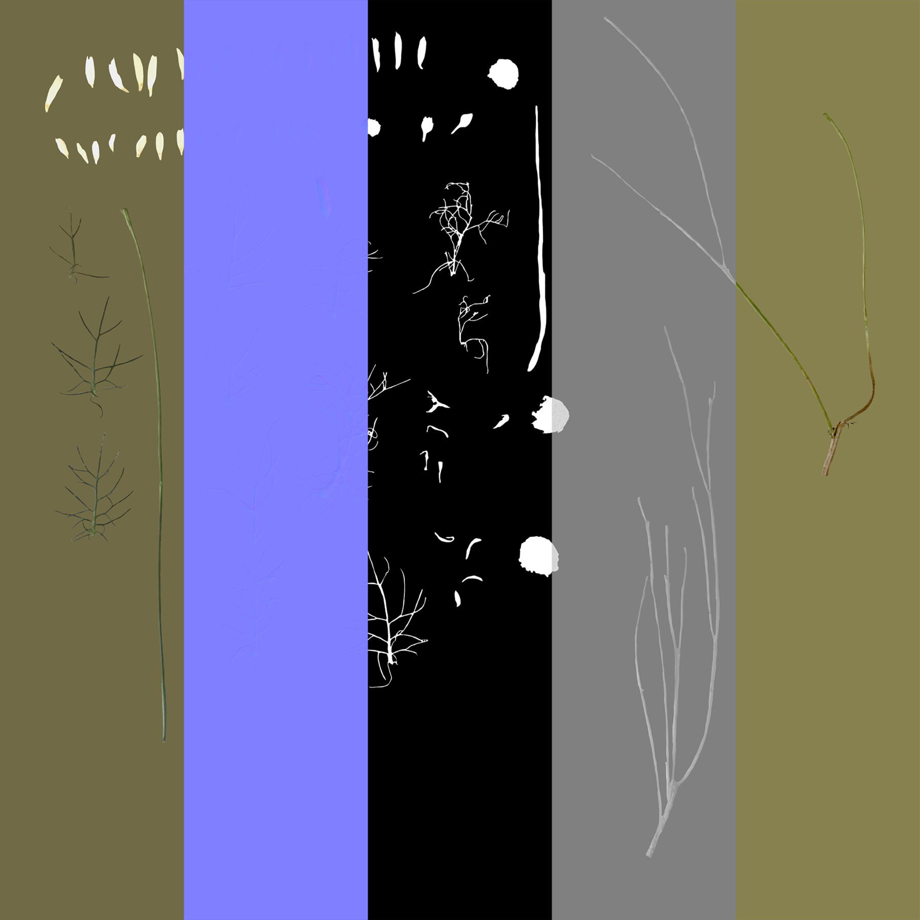 ArtStation - Field Chamomile Pack | Resources