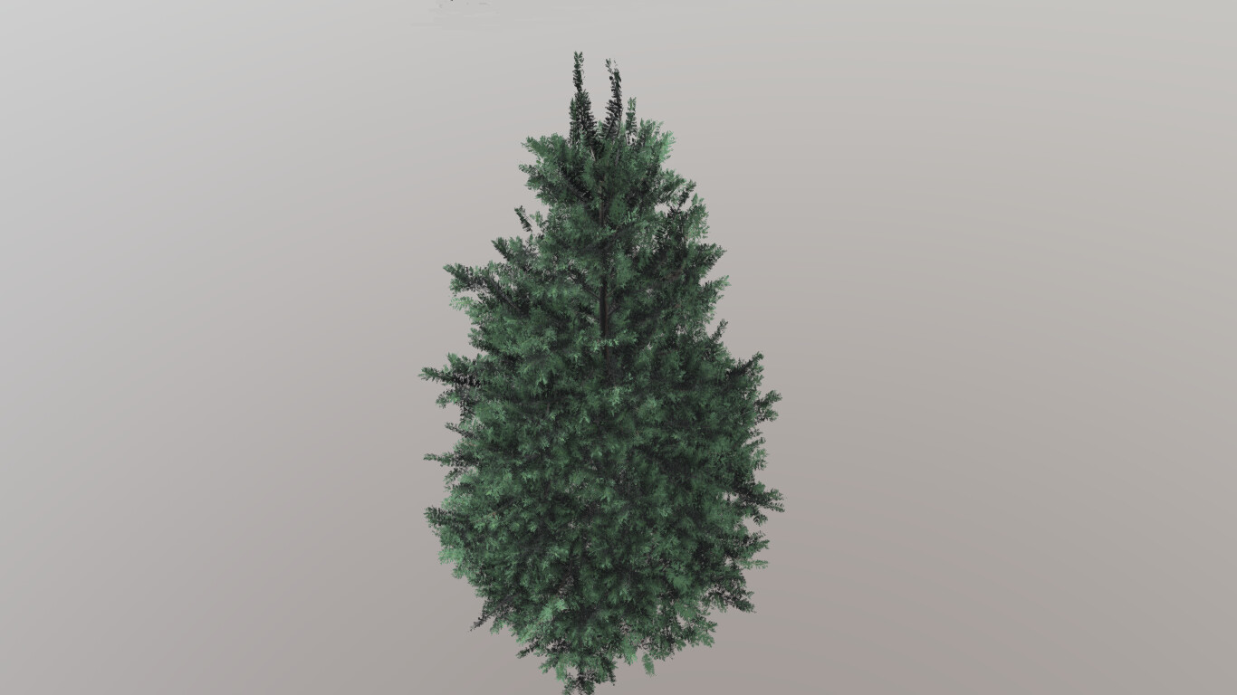 ArtStation - tree spruce 3d model 3D model | Resources