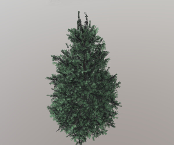 ArtStation - tree spruce 3d model 3D model | Resources