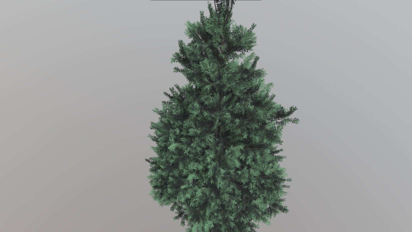 ArtStation - tree spruce 3d model 3D model | Resources