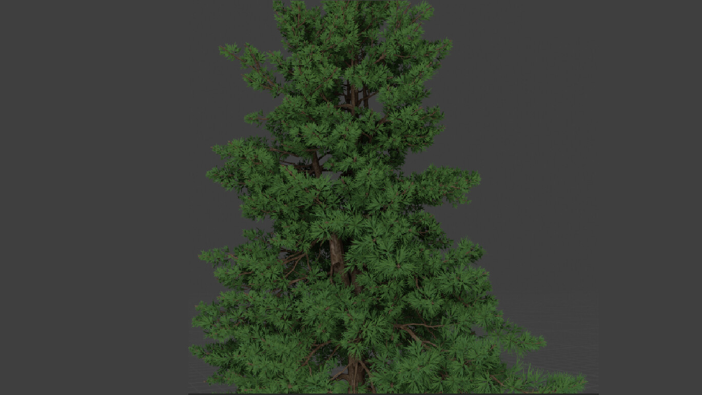 ArtStation - tree spruce 3d model 3D model | Resources