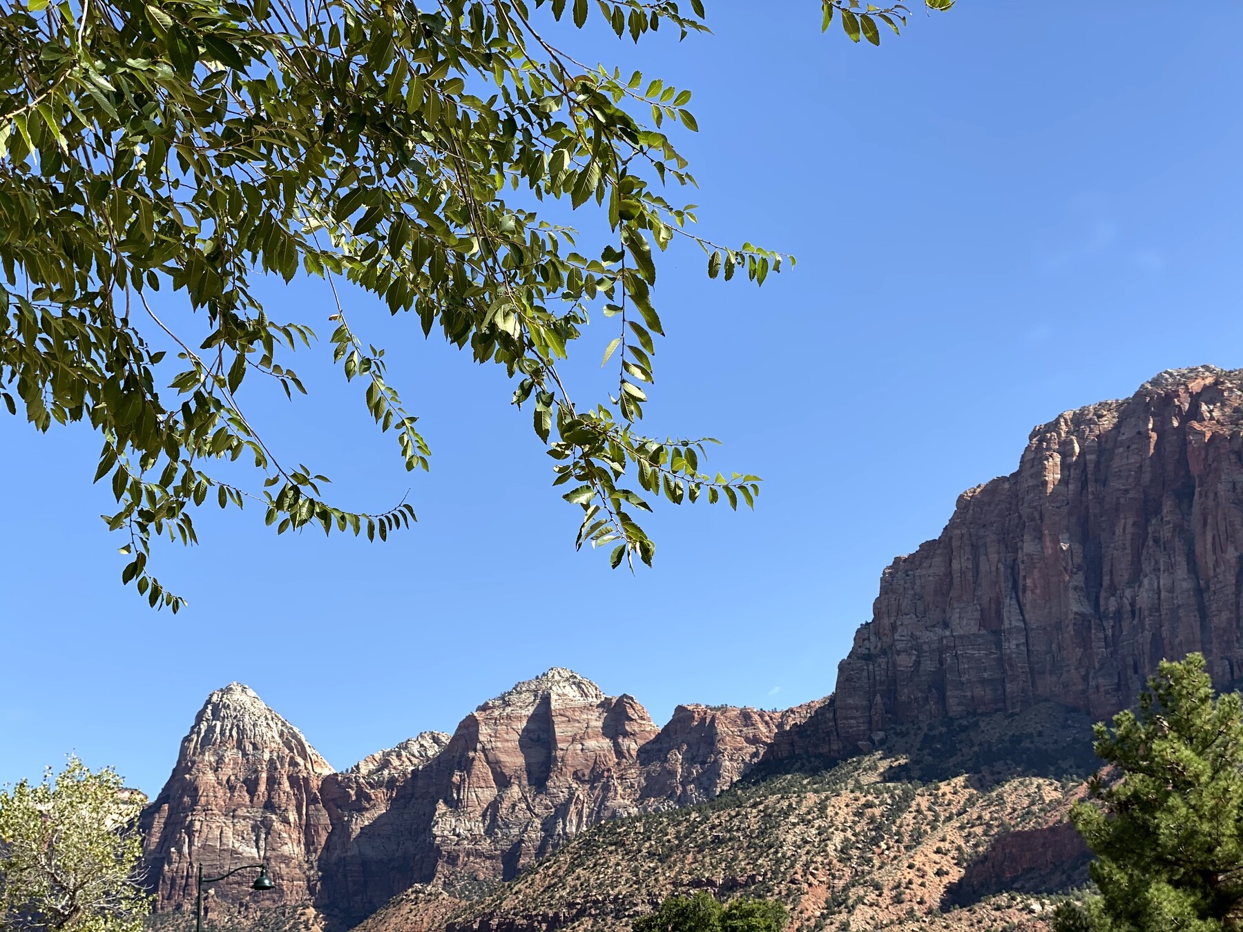 ArtStation - Nature Reference Mini Pack | Resources