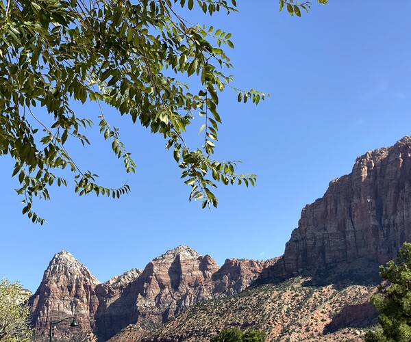 ArtStation - Nature Reference Mini Pack | Resources