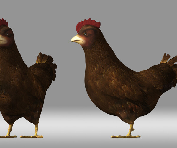 ArtStation - Hen chicken | Resources