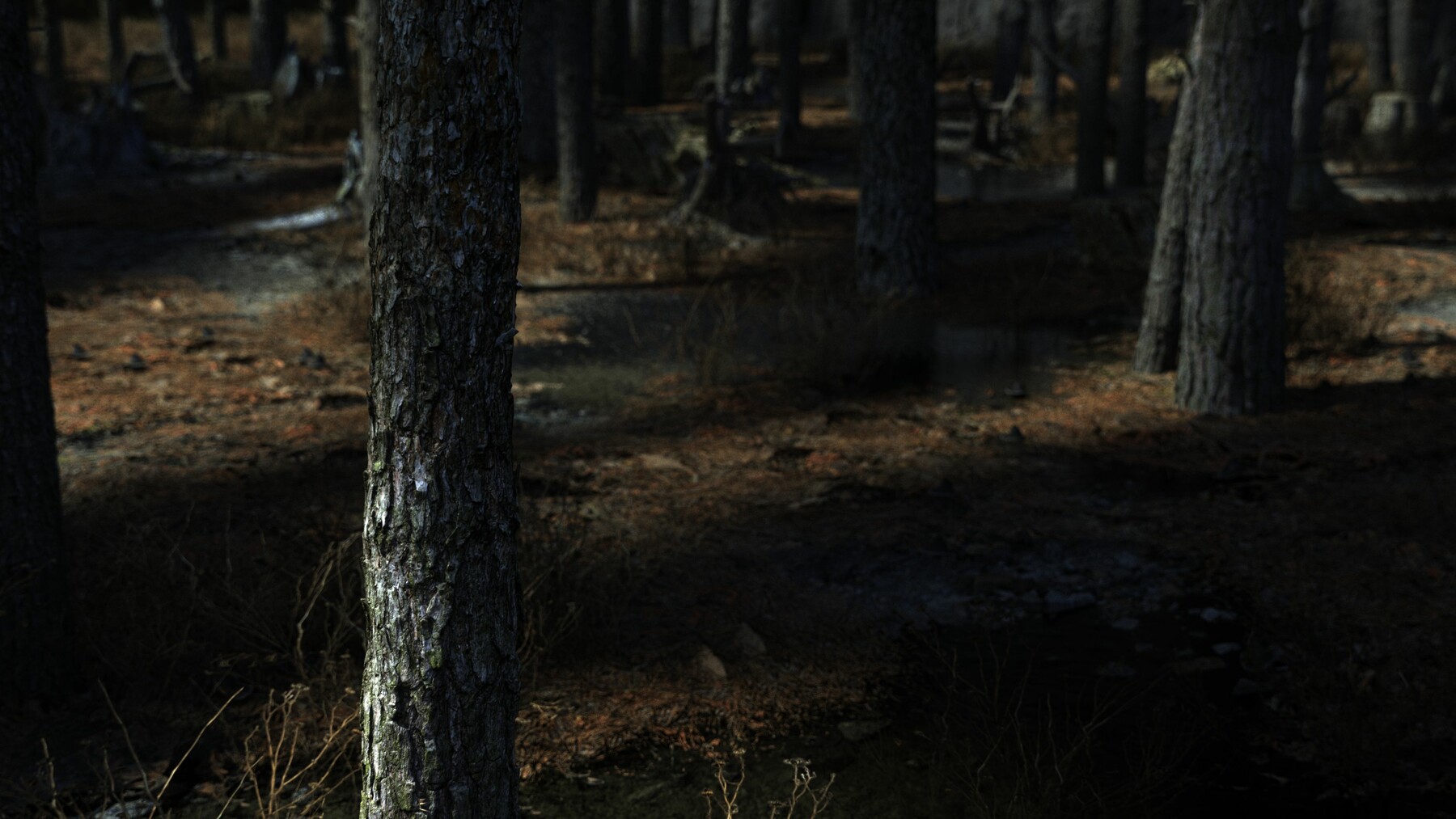 ArtStation - 28 Pine forest assets | Cinematic LOD | 8K - 32\16 bit ...