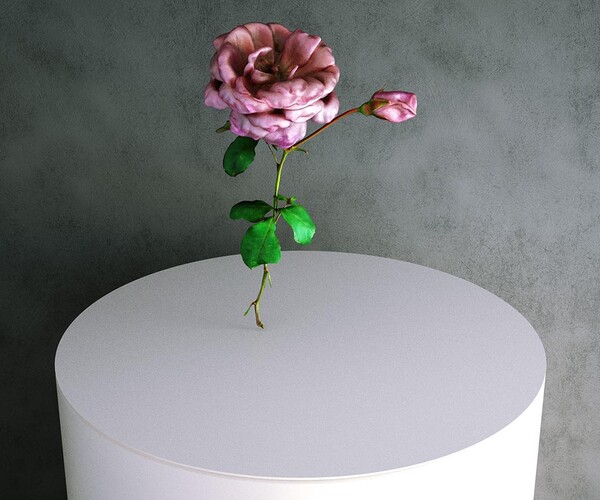 ArtStation - Rose / Rosa Hybrida 03 Pink [3d Scan Model: Plants ...