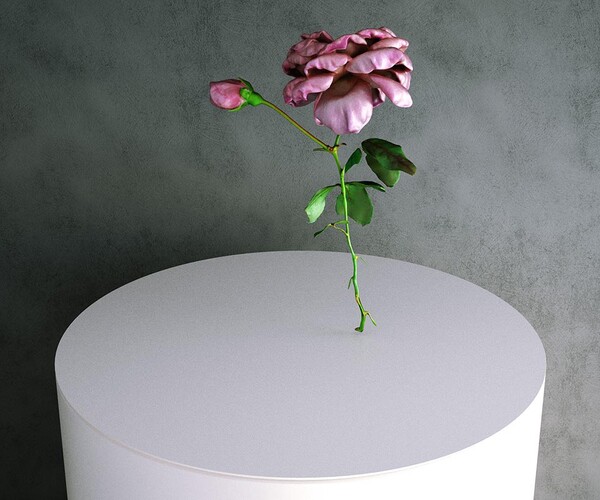 ArtStation - Rose / Rosa Hybrida 03 Pink [3d Scan Model: Plants / Flowers] | Resources