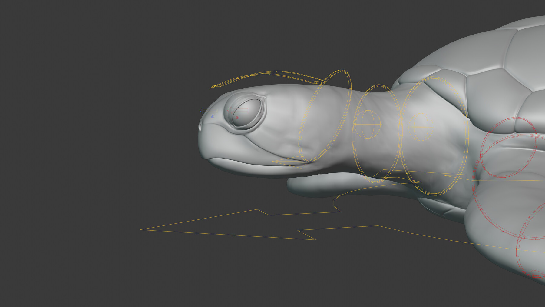 ArtStation - 3D Animal | Green Sea Turtle Animated | Resources