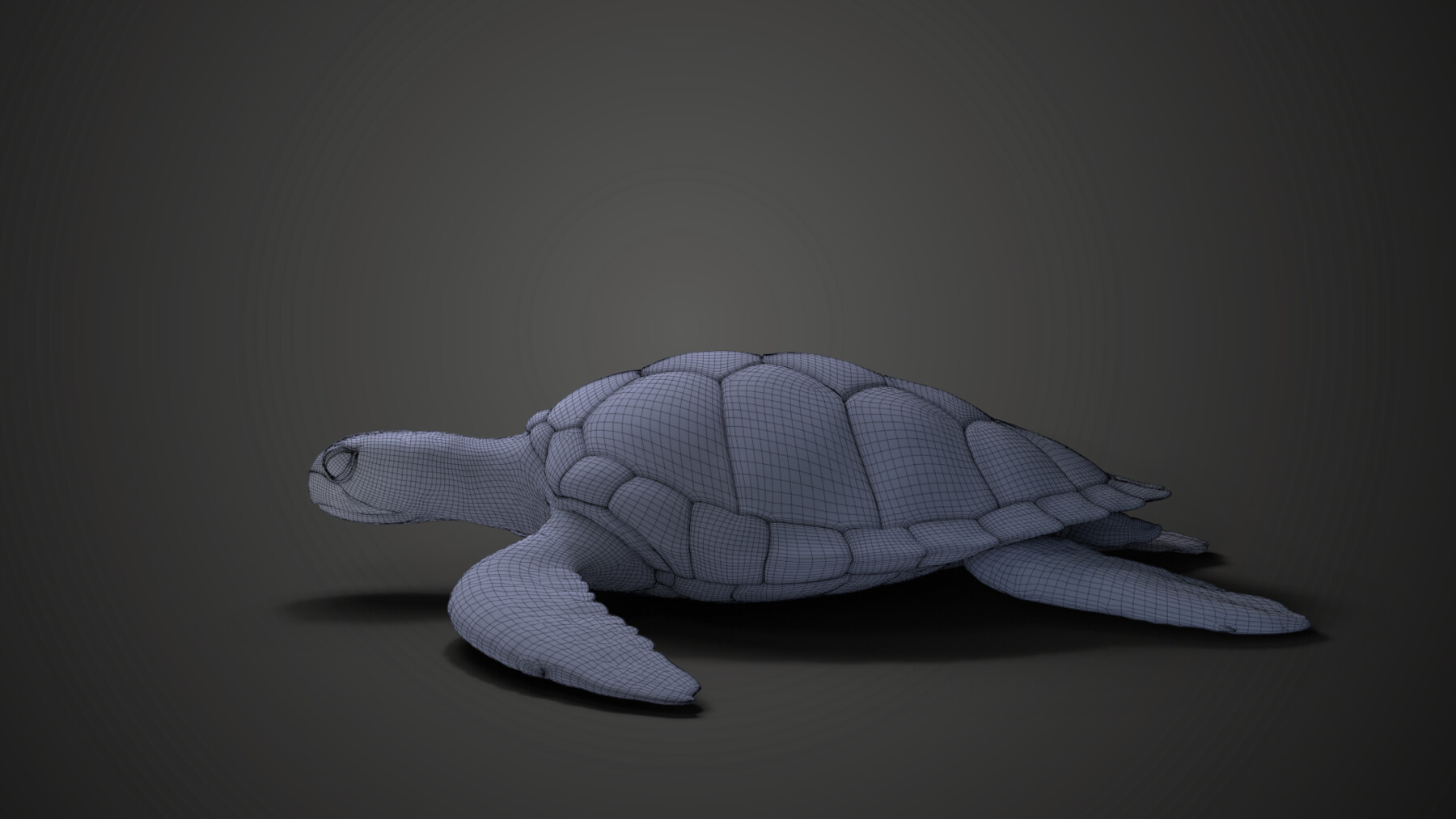 ArtStation - 3D Animal | Green Sea Turtle Animated | Resources