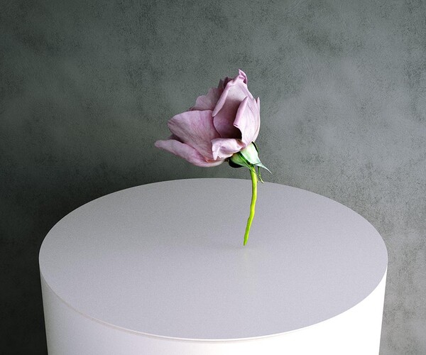 ArtStation - Rose / Rosa Hybrida 04 Pink [3d Scan Model: Plants ...