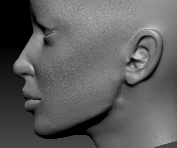 ArtStation - Head Female detail | Resources