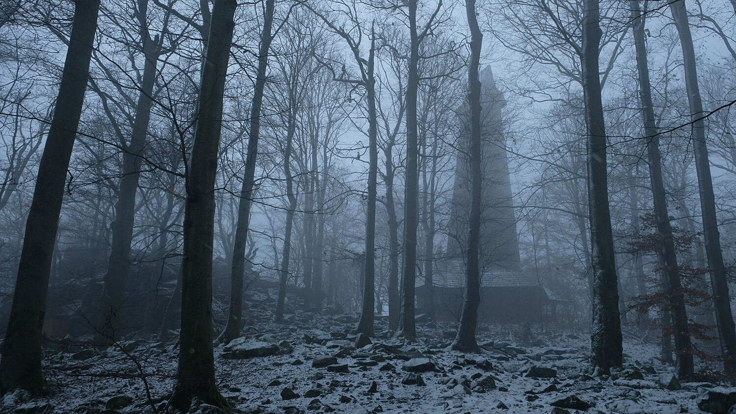 ArtStation - Moody Winter forest photopack | Resources