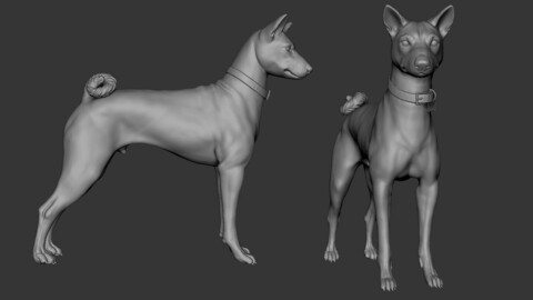 ArtStation - Basenji Dog model | Resources