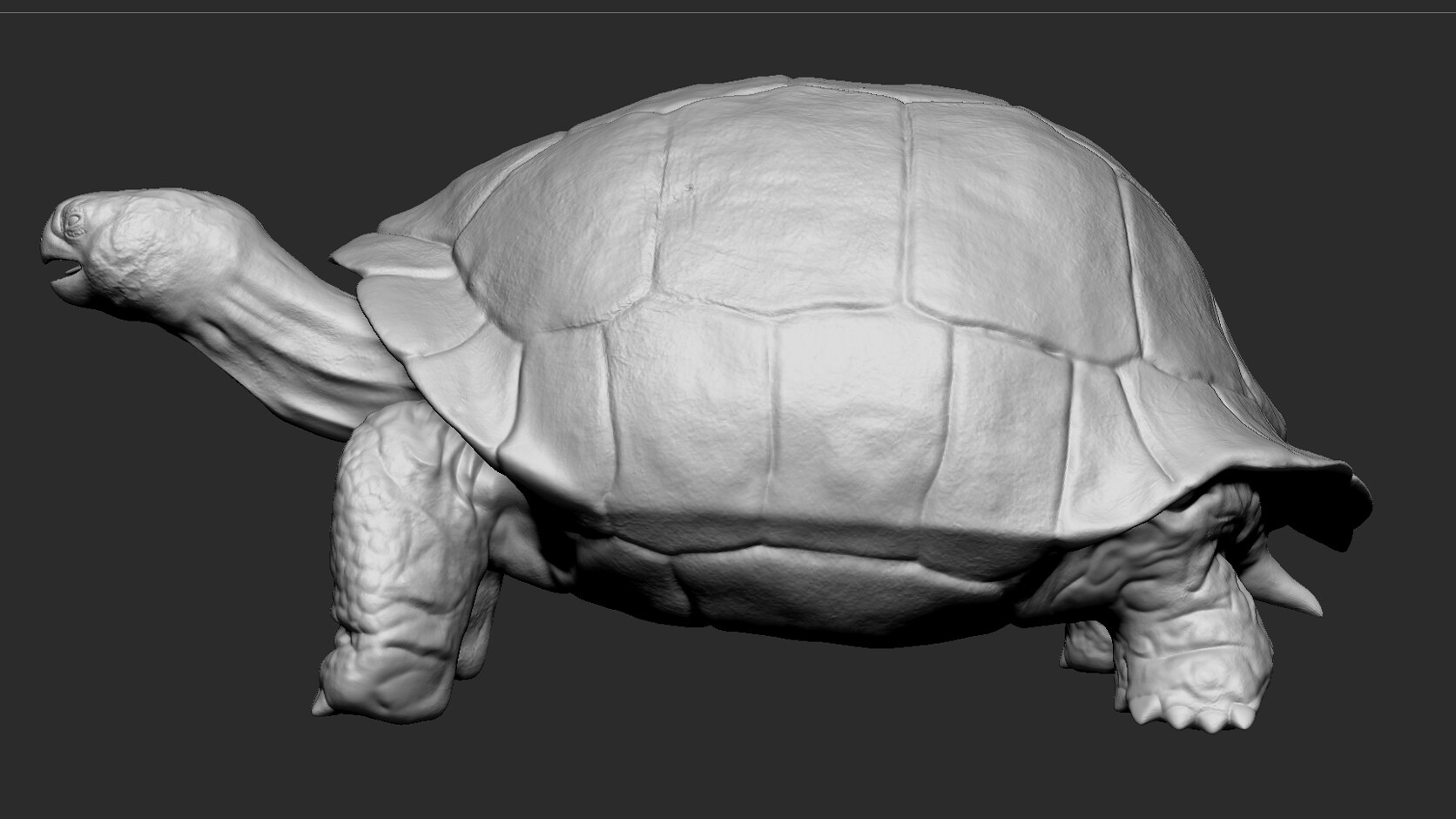 ArtStation - Galapagos Tortoise - Sculpt | Game Assets