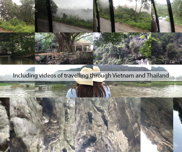 ArtStation - Nature Reference Pack | Resources