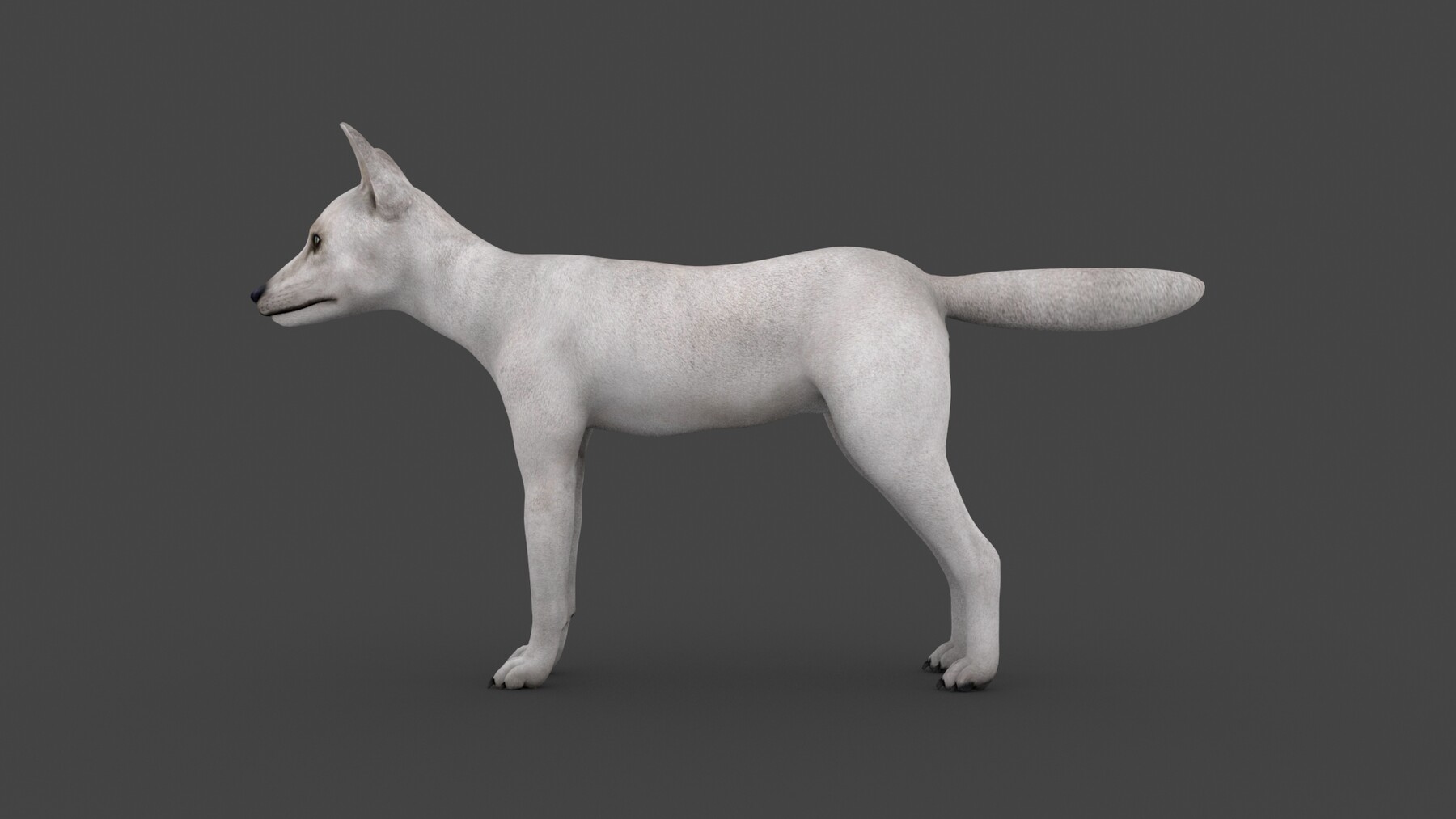ArtStation - DFOX.001 Rigged Fox | Game Assets