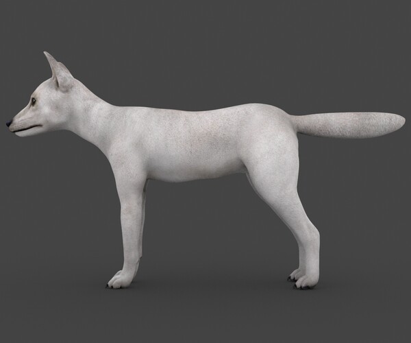 ArtStation - DFOX.001 Rigged Fox | Game Assets