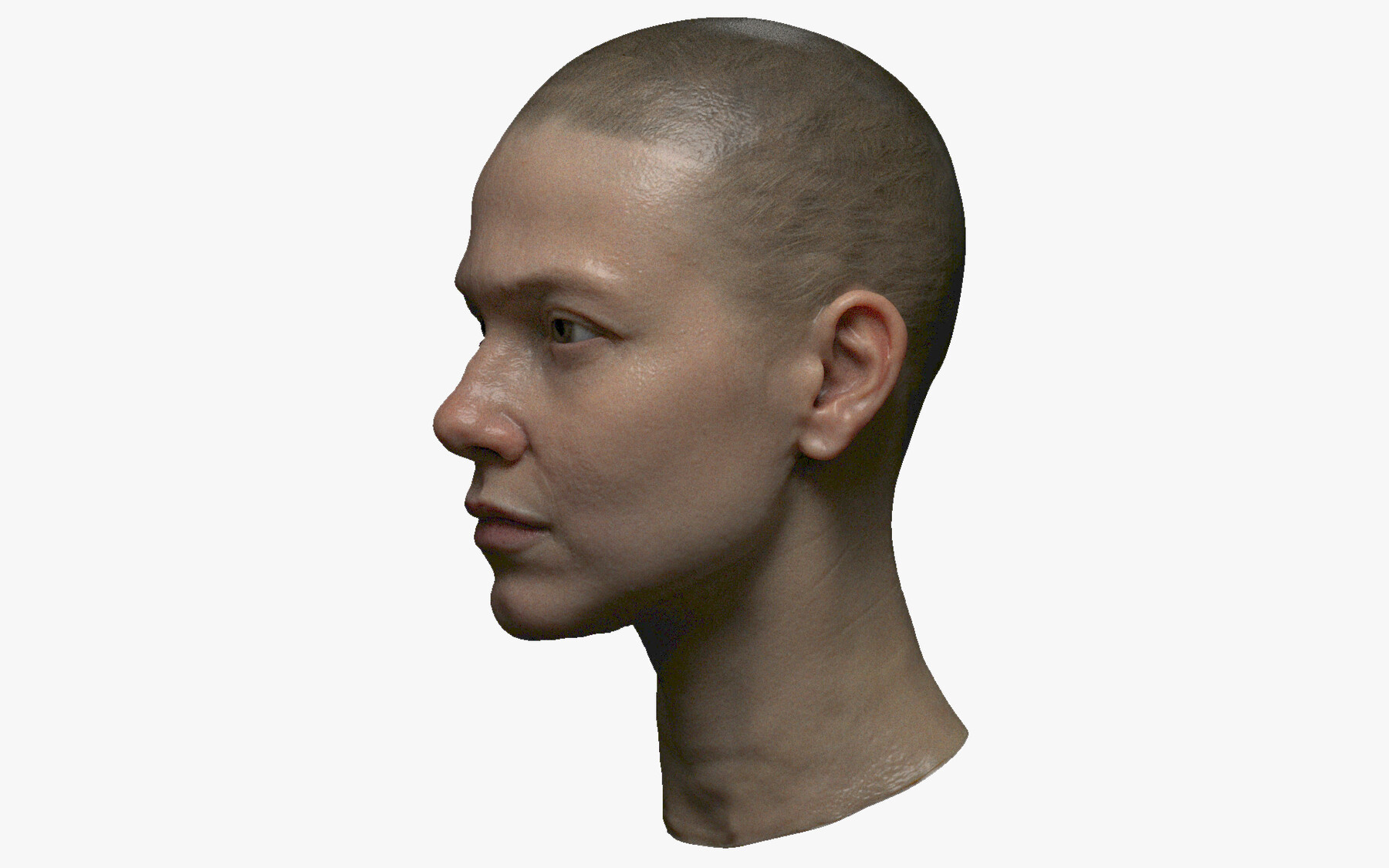 ArtStation - Photorealistic PBR female face game animation ready Low ...