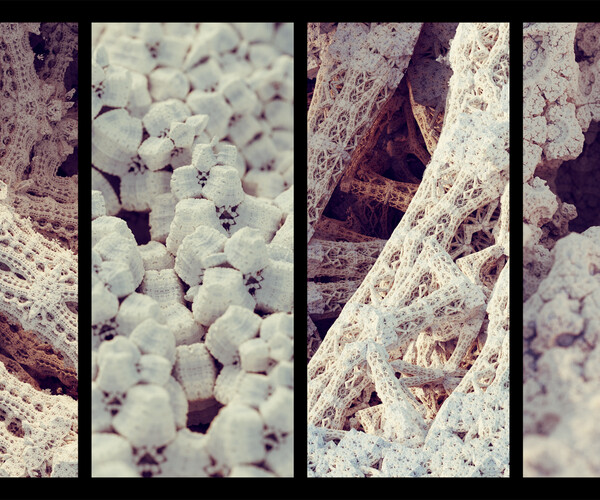 ArtStation - 4K Fractal renders; the structures | Artworks