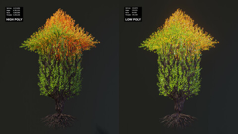 ArtStation - Tree in a shape of a DNA chain | Resources