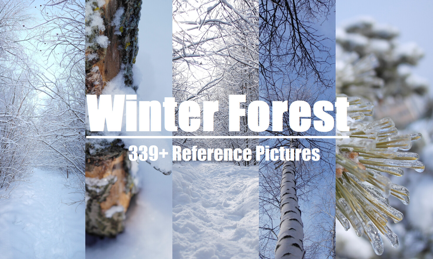ArtStation - Winter Forest 339+ Photo Reference Pictures | Resources