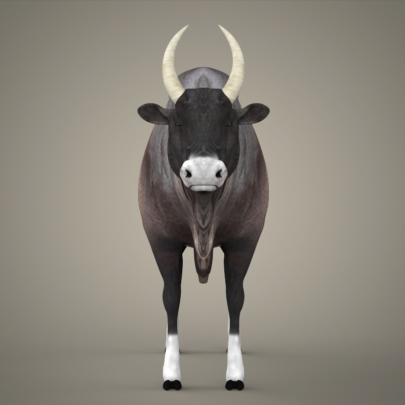 ArtStation - Realistic Ox 3D Model | Resources