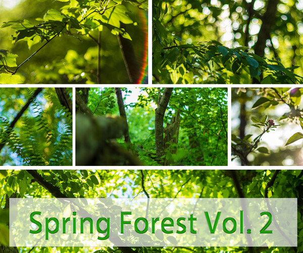 ArtStation - Spring Forest Vol. 2 | Resources
