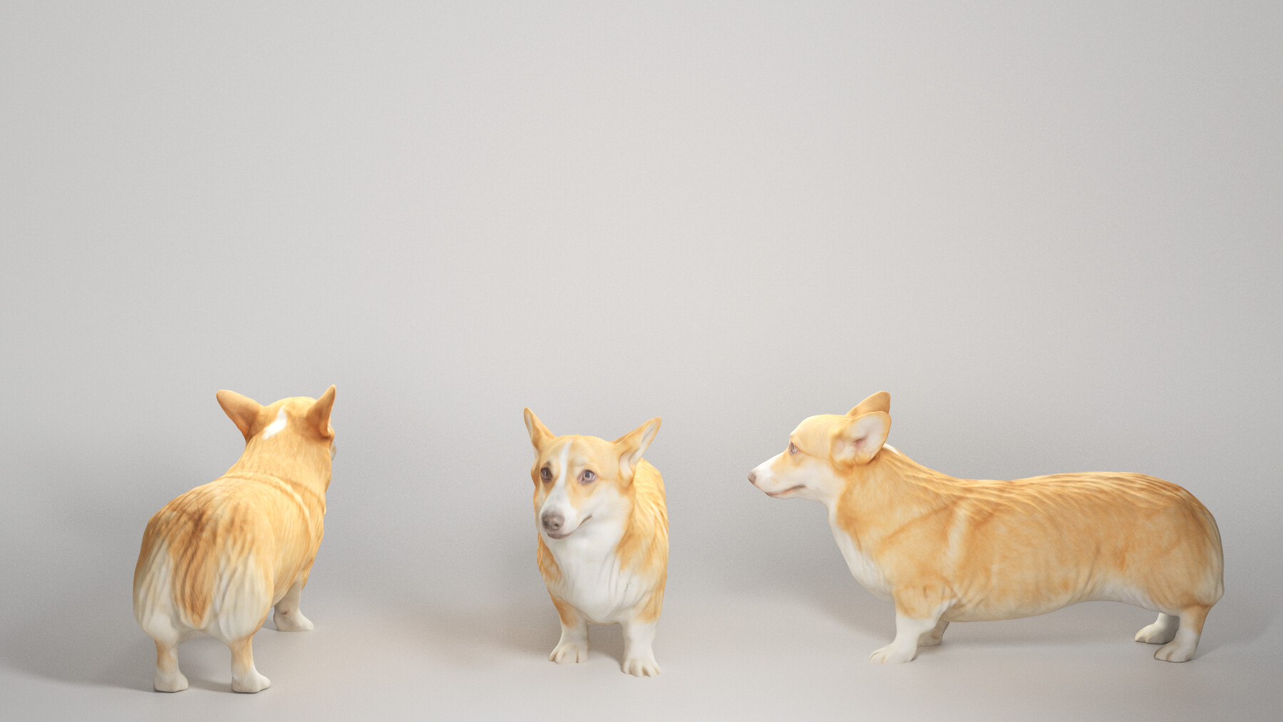 ArtStation - Corgi dog 04 | Game Assets