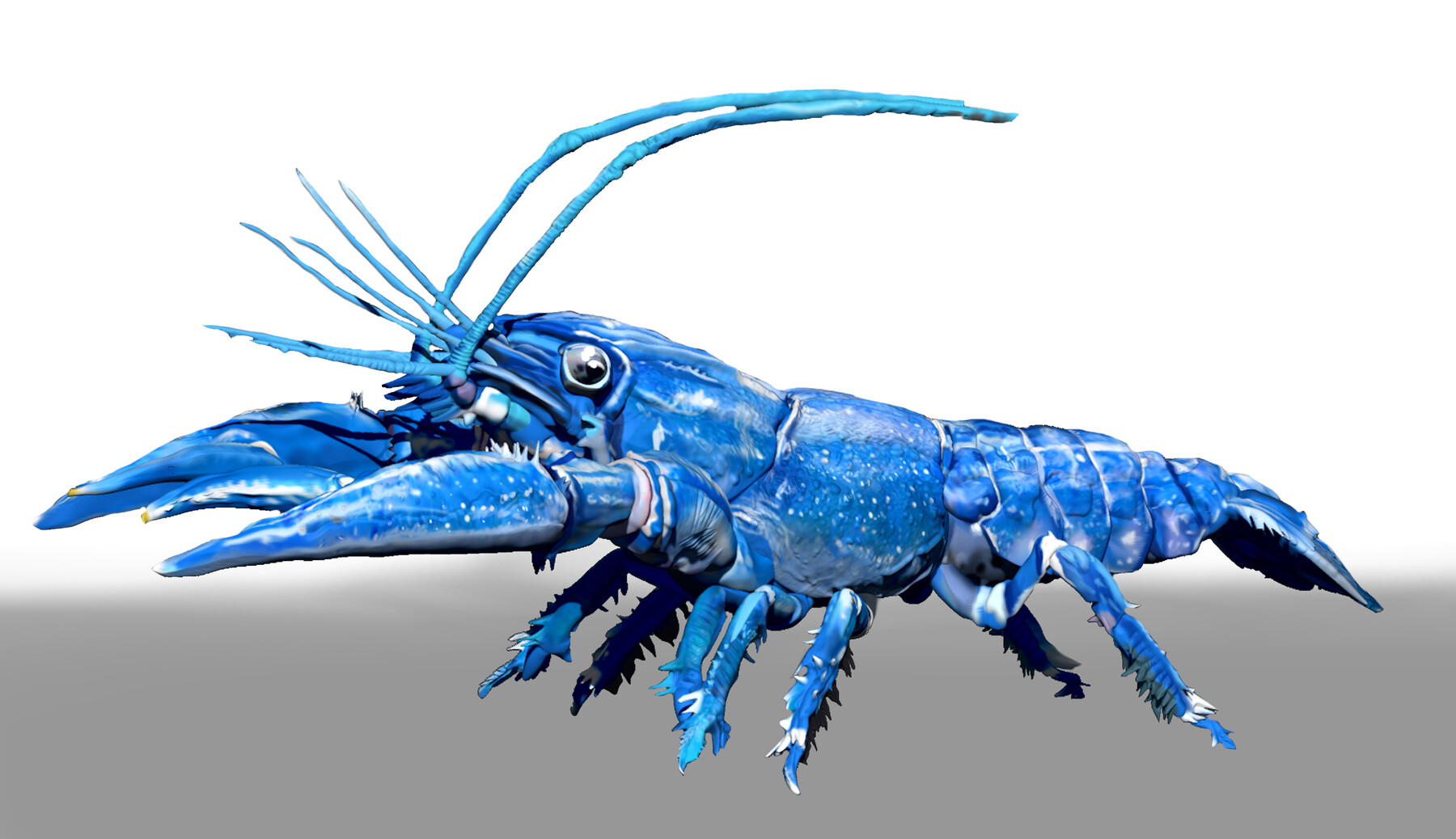 ArtStation - Blue Crawfish ZTL Sculpt and Polypaint | Resources