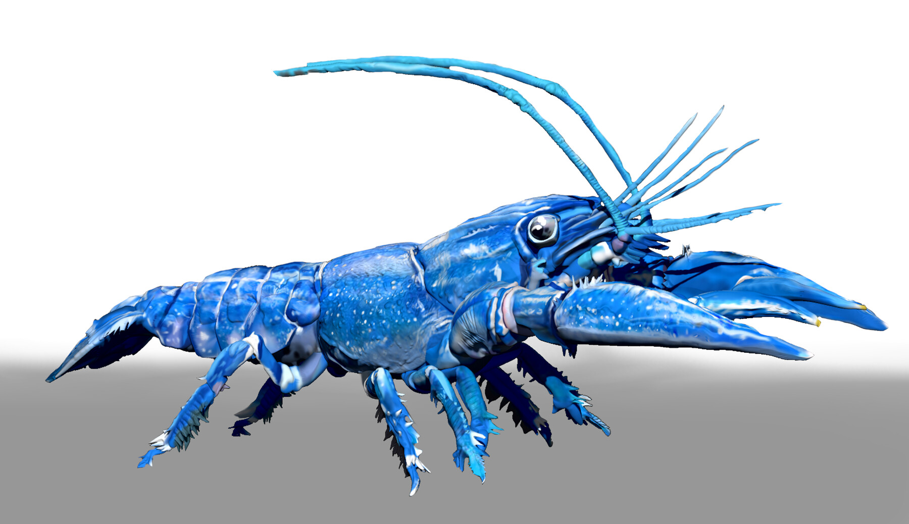 ArtStation - Blue Crawfish ZTL Sculpt and Polypaint | Resources