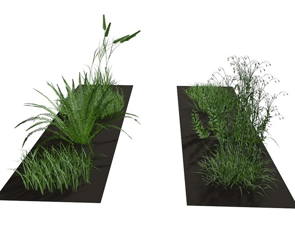 ArtStation - Herbage | Resources