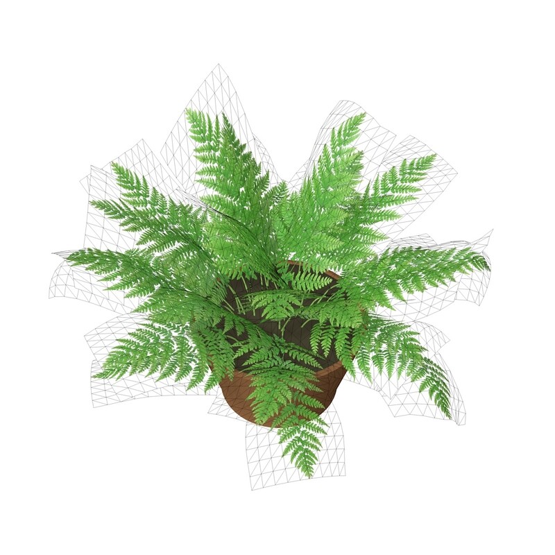 ArtStation - 3D Fern alpha channel model | Resources