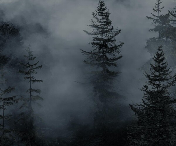 ArtStation - Fog Pack & Node Shader for Blender | Game Assets