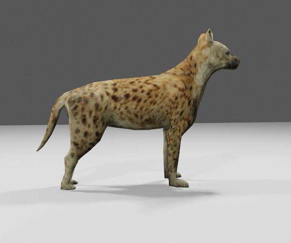 ArtStation - Hyena low and high poly 3D model | Game Assets