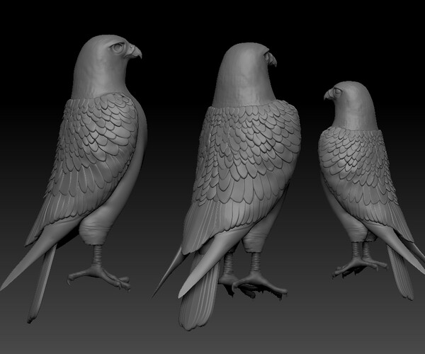 ArtStation - Bird Model Detail | Resources