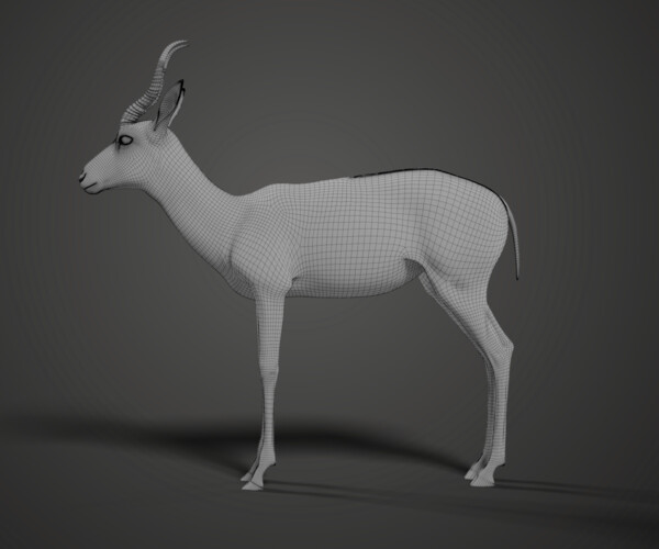 ArtStation - 3D Animal | Springbok Animated | Resources