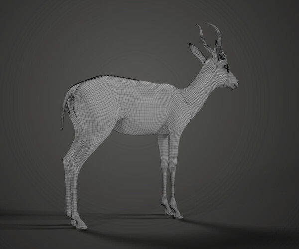 ArtStation - 3D Animal | Springbok Animated | Resources