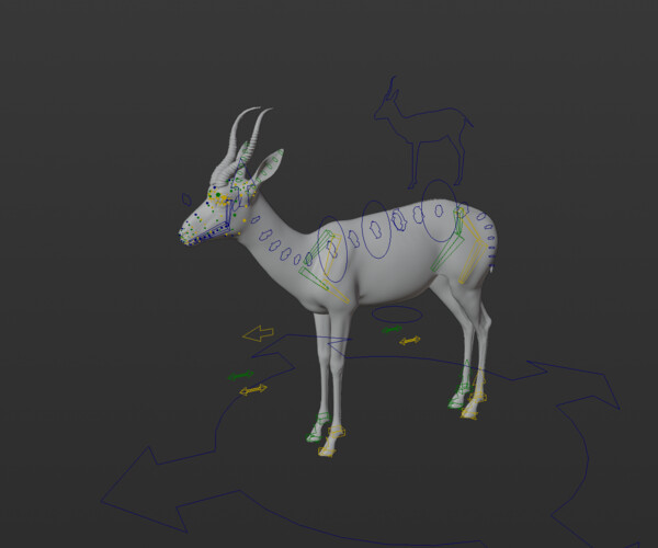 ArtStation - 3D Animal | Springbok Animated | Resources