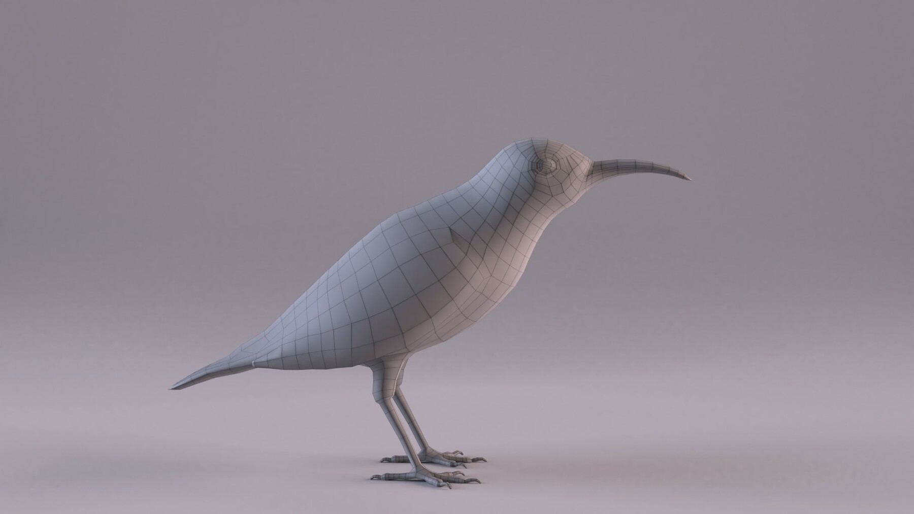ArtStation - Olive-backed Sunbird | Resources