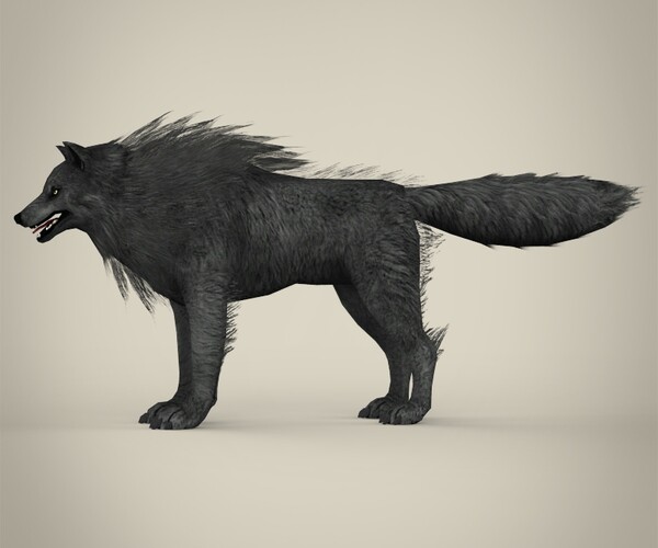 ArtStation - Black Wolf | Resources