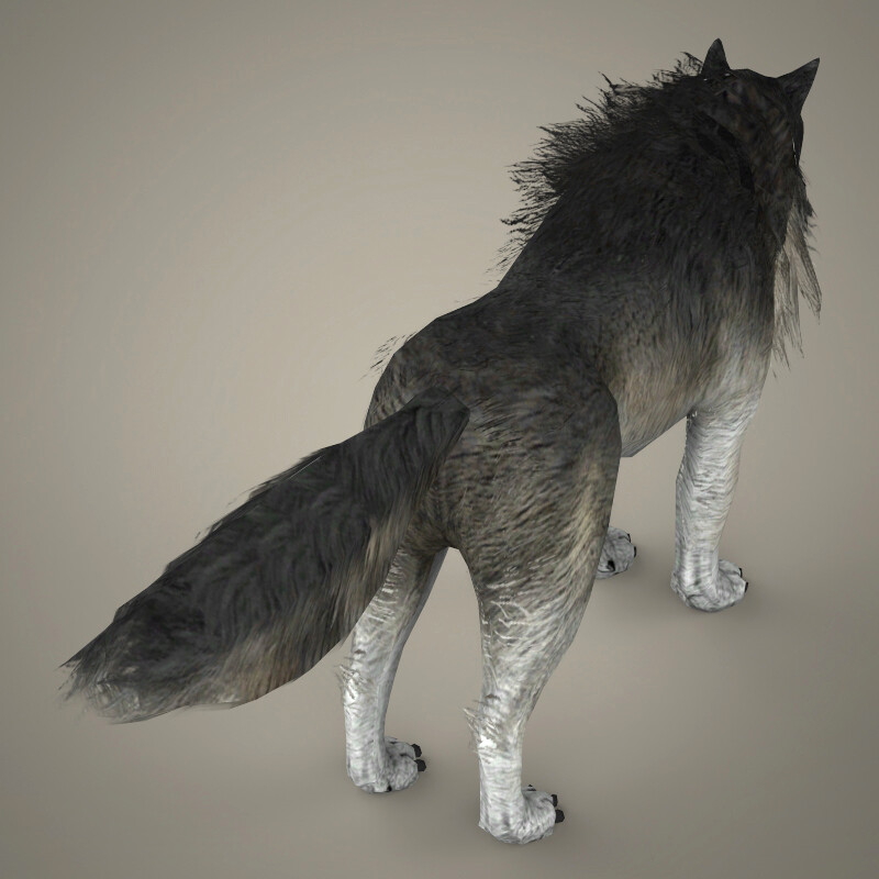 ArtStation - Brown Wolf | Resources